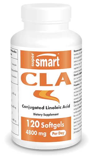 CLA Supplement 800 mg Conjugated Linoleic Acid Weight Loss Benefits